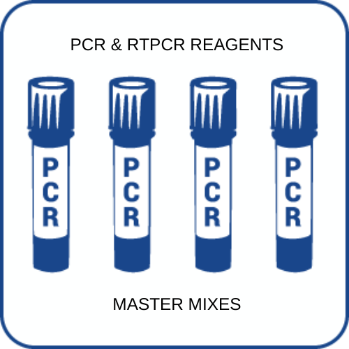 1st Strand cDNA Synthesis Kit (+gDNA Eraser) - Biostring