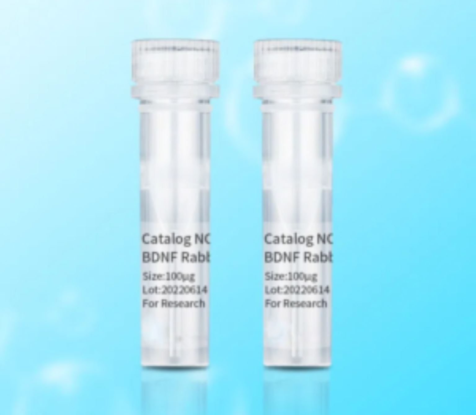 IRE1 Rabbit pAb Antibody | BSAB-219P | BioString
